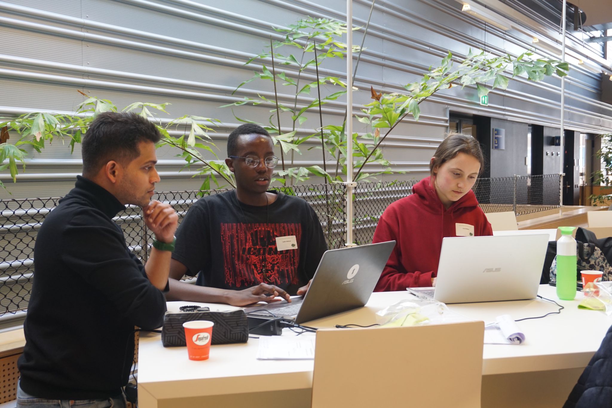 WiDS Maastricht Datathon 2023 - A Lookback - WiDS Maastricht Datathon ...